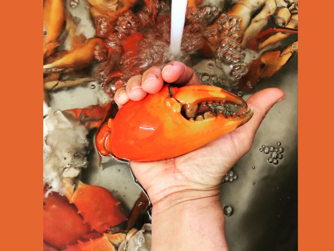 Recipes – Fat Wren Farm